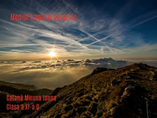 Miruna Ioana Online Presentations Channel