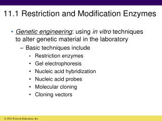 Restriction modification systems PowerPoint (PPT) Presentations ...
