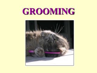 Hotel grooming standards PowerPoint (PPT) Presentations, Hotel grooming ...