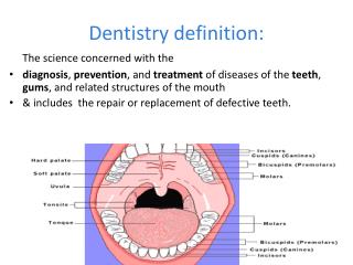 PPT - Dentistry definition: PowerPoint Presentation, free download - ID ...