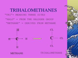PPT - TRIHALOMETHANES PowerPoint Presentation, free download - ID:1129791