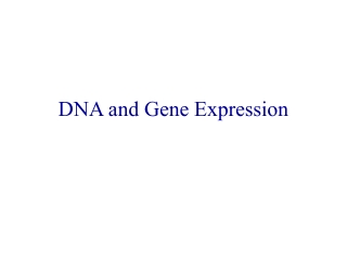PPT - DNA and Gene Expression PowerPoint Presentation, free download ...