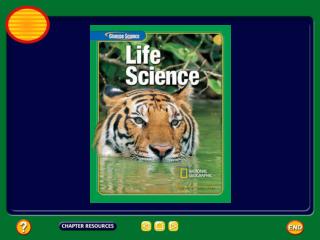 PPT - Chapter: Exploring and Classifying Life PowerPoint Presentation ...