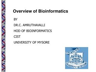 PPT - Overview of Bioinformatics PowerPoint Presentation, free download ...