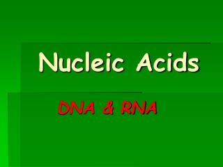 PPT - Nucleic Acids PowerPoint Presentation, free download - ID:1183684