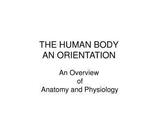 PPT - THE HUMAN BODY AN ORIENTATION PowerPoint Presentation, free ...