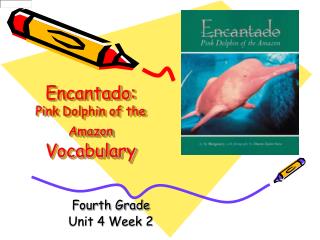 PPT - Encantado: Pink Dolphin of the Amazon Vocabulary PowerPoint ...