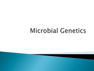 PPT - Microbial Genetics PowerPoint Presentation, free download - ID ...