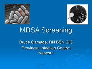 PPT - MRSA Screening PowerPoint Presentation, free download - ID:1244233
