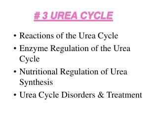 PPT - # 3 UREA CYCLE PowerPoint Presentation, free download - ID:1285362