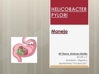 PPT - HELICOBACTER PYLORI Manejo PowerPoint Presentation, free download ...