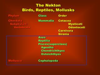 The 7 levels of classification are as follows kingdom phylum class ...