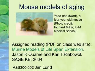 PPT - Mouse models of aging PowerPoint Presentation, free download - ID ...