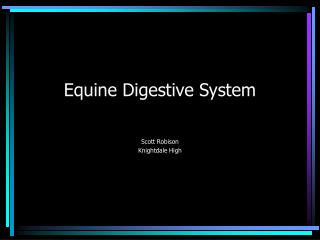 PPT - Equine Digestive System PowerPoint Presentation, free download ...