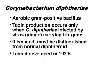PPT - Corynebacterium diphtheriae PowerPoint Presentation - ID:3672369