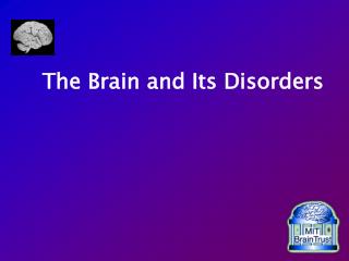 PPT - The Brain and Its Disorders PowerPoint Presentation, free ...