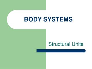 PPT - BODY SYSTEMS PowerPoint Presentation, free download - ID:1402824