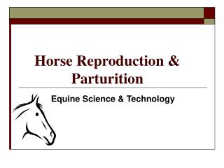 PPT - Horse Reproduction & Parturition PowerPoint Presentation, free ...