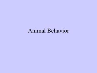 PPT - Animal Behavior PowerPoint Presentation, free download - ID:1455899