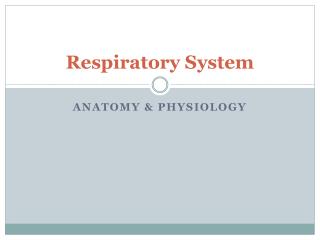 PPT - Respiratory System PowerPoint Presentation, free download - ID ...