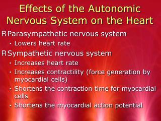 PPT - Effects of the Autonomic Nervous System on the Heart PowerPoint ...
