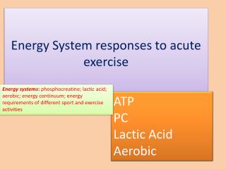PPT - Energy System responses to acute exercise PowerPoint Presentation ...