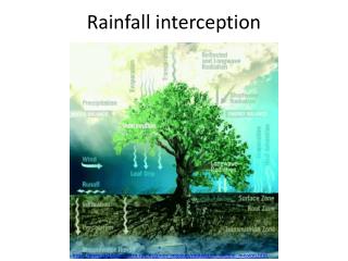 PPT - 3 Types of Rainfall PowerPoint Presentation - ID:669744
