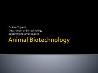 PPT - Animal Biotechnology PowerPoint Presentation, free download - ID ...