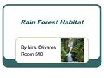 PPT - rain forest habitat PowerPoint Presentation, free download - ID ...