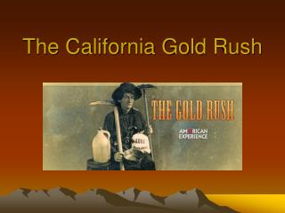 PPT - The California Gold Rush PowerPoint Presentation, free download ...