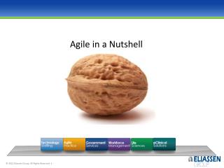 PPT - Agile in a Nutshell PowerPoint Presentation, free download - ID ...