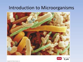 PPT - Introduction to Microorganisms PowerPoint Presentation, free ...
