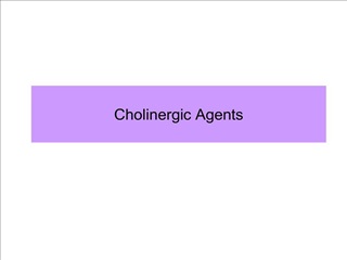 PPT - cholinergic agents PowerPoint Presentation, free download - ID:166553