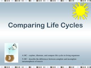 PPT - Comparing Life Cycles PowerPoint Presentation - ID:1698933