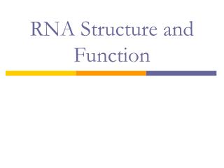 PPT - RNA Structure and Function PowerPoint Presentation, free download ...