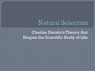 PPT - Natural Selection PowerPoint Presentation, free download - ID:1723791