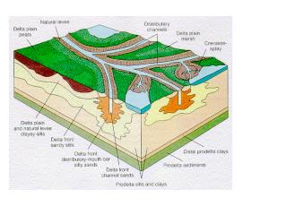 PPT - Foreset Beds PowerPoint Presentation, free download - ID:1724676