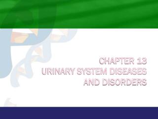 PPT - Chapter 13 Urinary System Diseases and Disorders PowerPoint ...