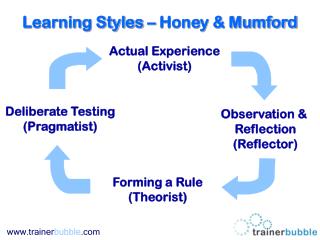 PPT - Learning Styles Honey and Mumford PowerPoint Presentation - ID ...