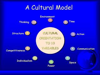 Lewis cultural types model PowerPoint (PPT) Presentations, Lewis ...