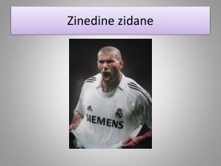 PPT - Zinedine zidane PowerPoint Presentation, free download - ID:1778229