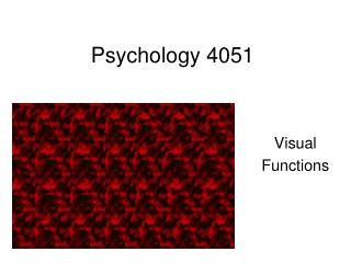 PPT - What is Stereopsis ? PowerPoint Presentation - ID:1870679