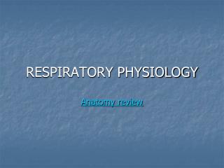 PPT - RESPIRATORY PHYSIOLOGY Anatomy review PowerPoint Presentation ...