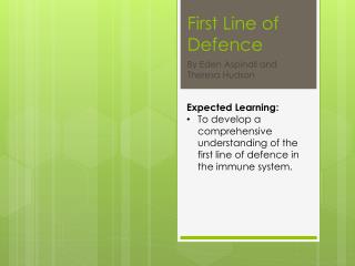 PPT - First Line of Defence PowerPoint Presentation, free download - ID ...