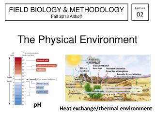 PPT - The Physical Environment PowerPoint Presentation, free download ...