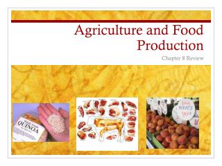 PPT - FOOD AND AGRICULTURE ORGANIZATION (FAO) PowerPoint Presentation ...