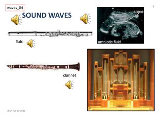 PPT - SOUND WAVES PowerPoint Presentation, free download - ID:1845567