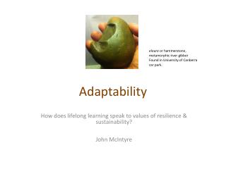 PPT - Adaptability PowerPoint Presentation, free download - ID:1849117
