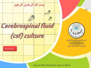 PPT - Cerebrospinal fluid ( csf) culture PowerPoint Presentation, free ...