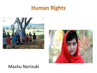 PPT - Human Rights PowerPoint Presentation, free download - ID:1861437